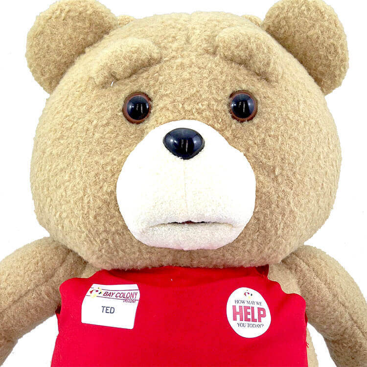 Ted Teddy Bear - Wishque | Sri Lanka's Premium Online Shop! Send Gifts ...