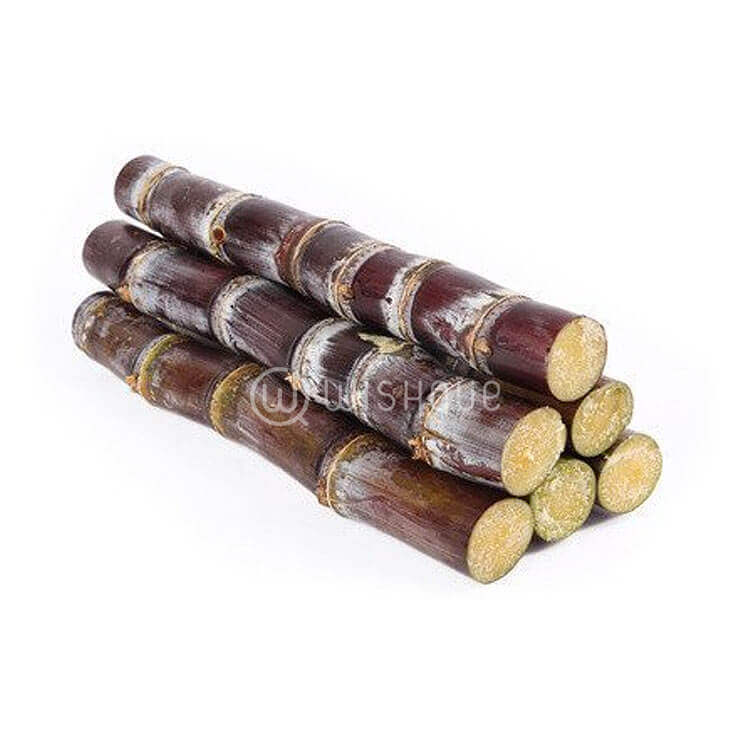 Sugarcane Bundle - Wishque | Sri Lanka's Premium Online Shop! Send ...