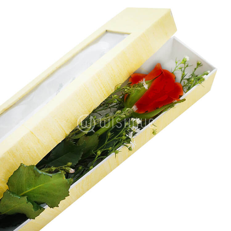 Single Rose in a Box - Wishque | Sri Lanka's Premium Online Shop! Send ...
