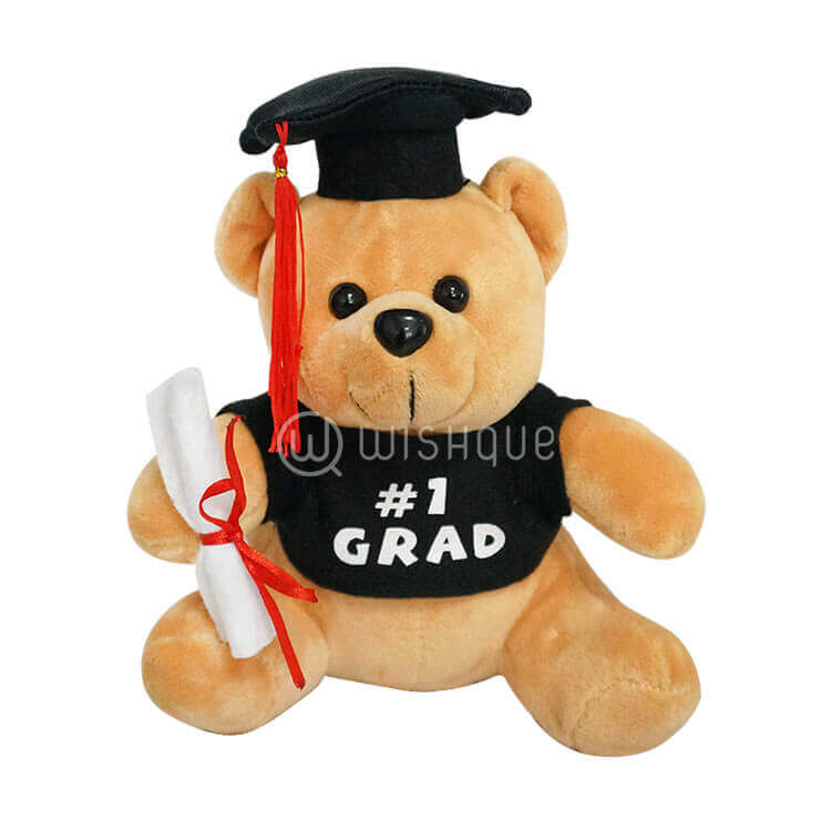 Graduation Teddy - Wishque | Sri Lanka's Premium Online Shop! Send ...