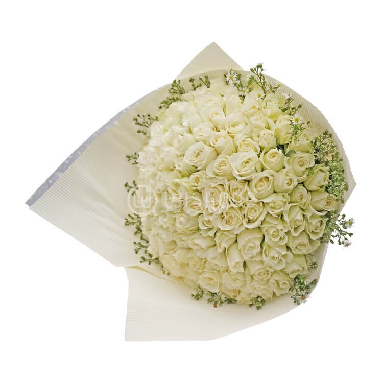 Bouquet of 100 White Roses - Wishque | Sri Lanka's Premium Online Shop ...