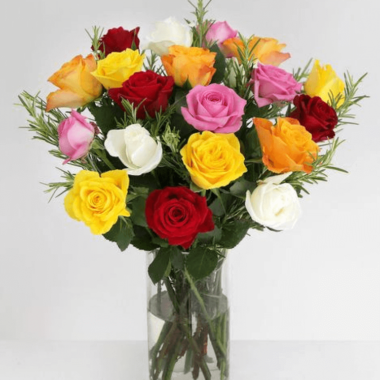 Classic Roses - Wishque | Sri Lanka's Premium Online Shop! Send Gifts ...