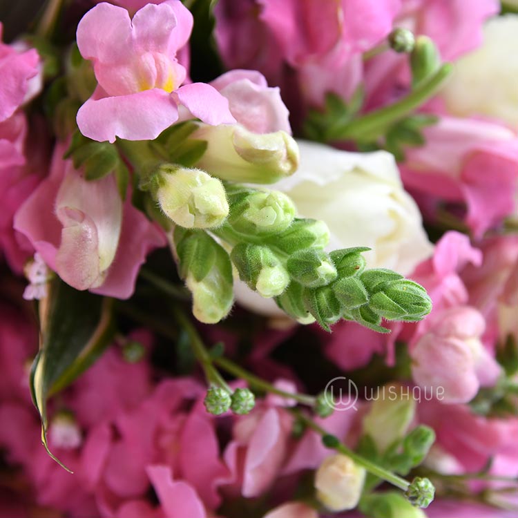 Pinky Promise Bouquet - Wishque | Sri Lanka's Premium Online Shop! Send ...