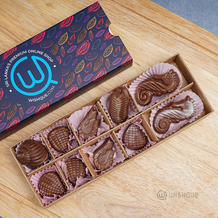Chocolate Sea Shells Collection - 10 Pcs Box - Desserts & Sweets | Wishque